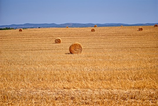 Seara Imej – Semak Imbas 2 Foto, Vektor dan Video Stok | Adobe Stock