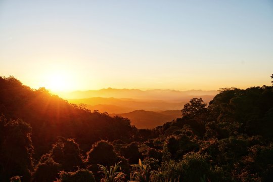 รูปภาพTropenwald – เลือกดูภาพถ่ายสต็อก เวกเตอร์ และวิดีโอ964 | Adobe Stock