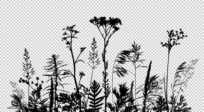 Marijuana Leaf Transparent Background Images – Browse 25 Stock Photos ...