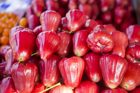 Phoo Images – Browse 47 Stock Photos, Vectors, and Video | Adobe Stock