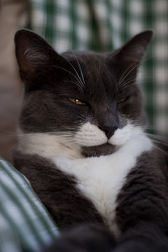 Endort Images – Browse 36 Stock Photos, Vectors, and Video | Adobe Stock