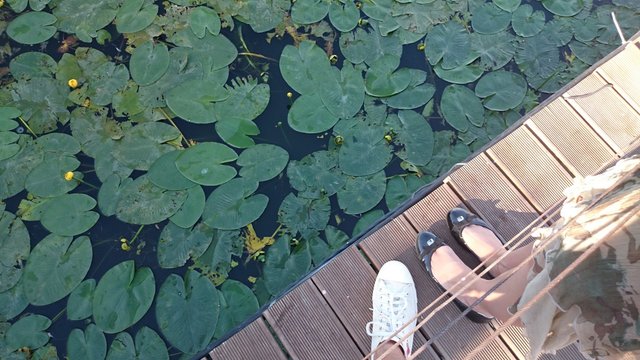 Igor Golovko photos, images, assets | Adobe Stock