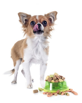 Dursty Images – Browse 11 Stock Photos, Vectors, and Video | Adobe Stock