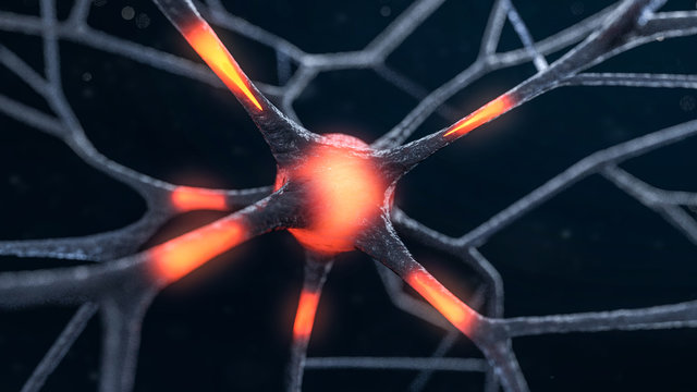 「Synapsen」の写真素材 | 992件の無料イラスト画像 | Adobe Stock