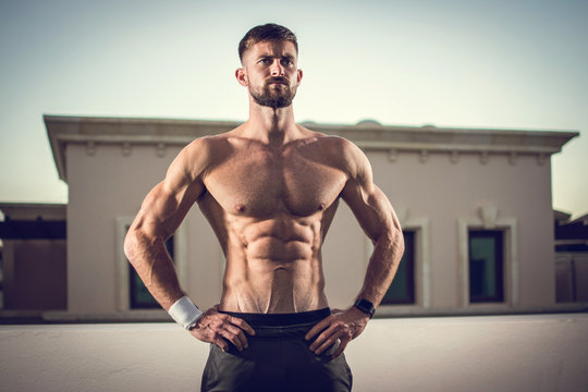 Six-Packs 이미지 – 찾아보기 8,184 스톡 사진, 벡터 및 비디오 | Adobe Stock