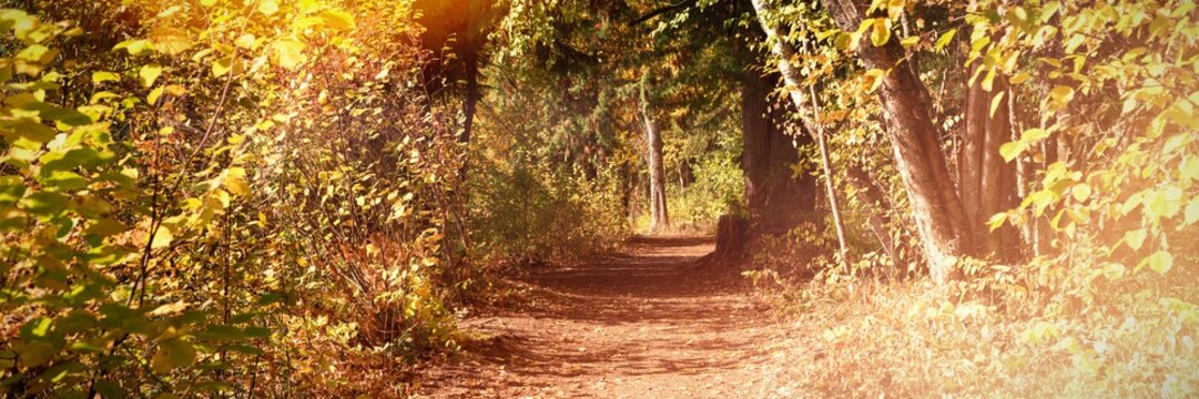 Calmful Bilder – Durchsuchen 120 Archivfotos, Vektorgrafiken und Videos ...