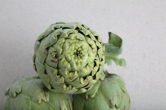 รูปภาพAlcaucil – เลือกดูภาพถ่ายสต็อก เวกเตอร์ และวิดีโอ113 | Adobe Stock