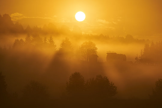 「Nisici」の写真素材 | 15件の無料イラスト画像 | Adobe Stock