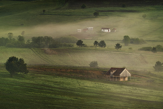 Nisici Images – Browse 18 Stock Photos, Vectors, and Video | Adobe Stock