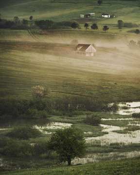 「Nisici」の写真素材 | 15件の無料イラスト画像 | Adobe Stock