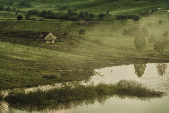 「Nisici」の写真素材 | 15件の無料イラスト画像 | Adobe Stock