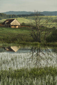 「Nisici」の写真素材 | 15件の無料イラスト画像 | Adobe Stock