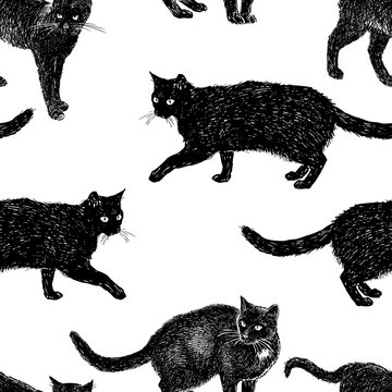 Cute Cat Pattern Tumblr
