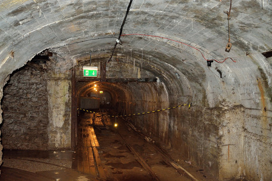 Mantrip Images – Browse 58 Stock Photos, Vectors, and Video | Adobe Stock