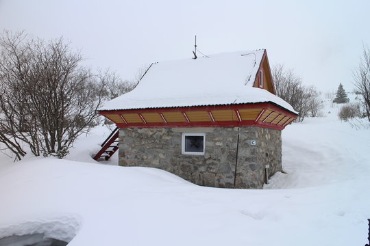 Plese Images – Browse 61 Stock Photos, Vectors, and Video | Adobe Stock