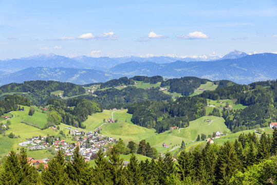 Heiden bilder – Bläddra bland 825 stockfoton, vektorer och videor ...