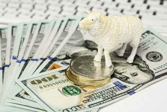 "Herd Instinct" Images – Browse 382 Stock Photos, Vectors, and Video ...