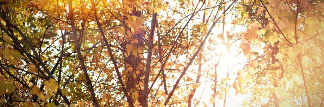 Calmful Bilder – Durchsuchen 100 Archivfotos, Vektorgrafiken und Videos ...