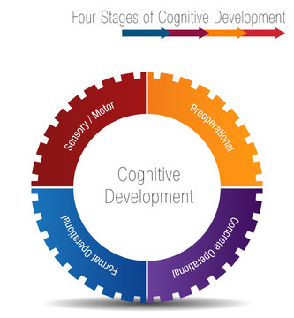Sensorimotor Stage Chart