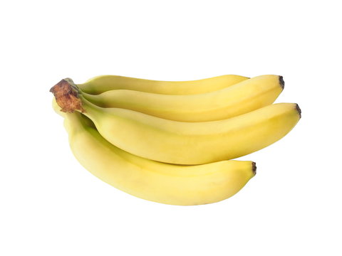 Wripe Images – Browse 6 Stock Photos, Vectors, and Video | Adobe Stock