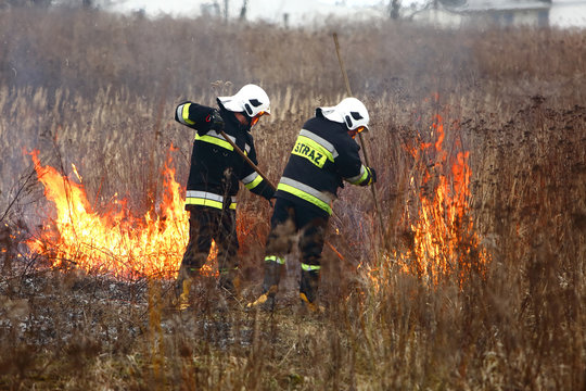 Indispensable Images – Browse 471,581 Stock Photos, Vectors, and Video ...