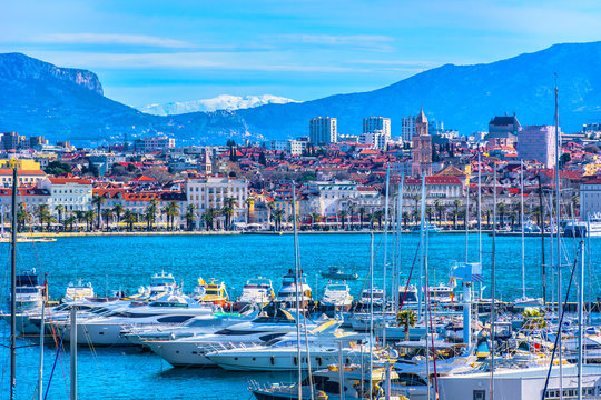 รูปภาพAci – เลือกดูภาพถ่ายสต็อก เวกเตอร์ และวิดีโอ1,712 | Adobe Stock