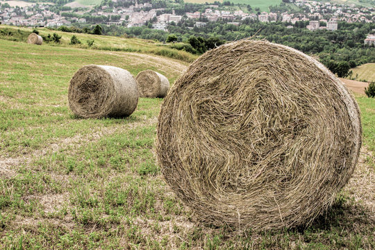 Hay-Bale Images – Browse 112 Stock Photos, Vectors, and Video | Adobe Stock