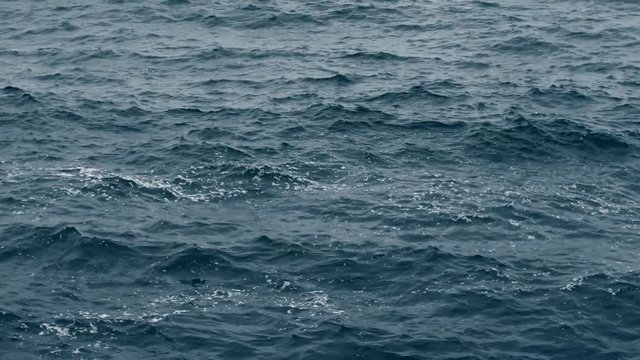 Morza Images – Browse 2,623 Stock Photos, Vectors, and Video | Adobe Stock