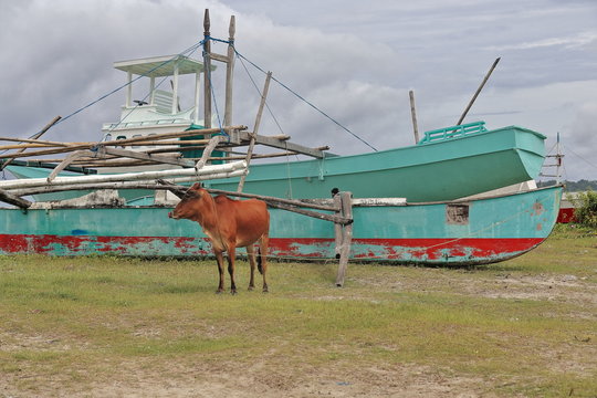 รูปภาพKatig – เลือกดูภาพถ่ายสต็อก เวกเตอร์ และวิดีโอ97 | Adobe Stock