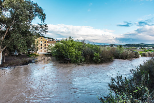 Genil Bilder – Durchsuchen 289 Archivfotos, Vektorgrafiken und Videos ...