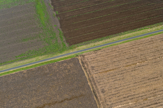 Lockrose Images – Browse 28 Stock Photos, Vectors, and Video | Adobe Stock