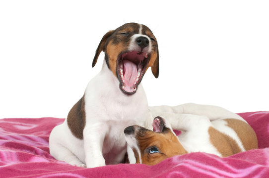 「Balgen」の画像 - 408 件の Stock 写真、ベクターおよびビデオ | Adobe Stock