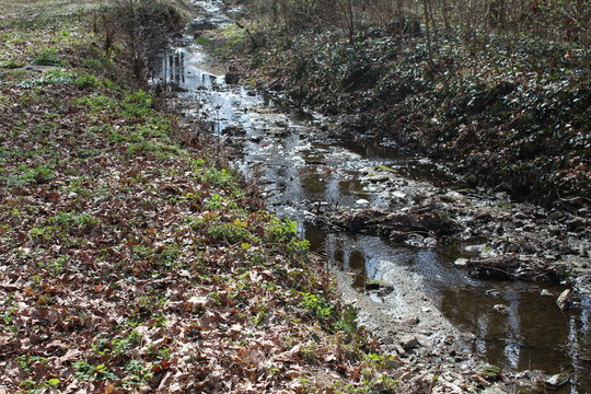 Afbeeldingen over Froschwanderung – Blader in stockfoto's, vectoren en video's over 153 | Adobe ...