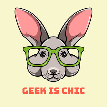 Geekrabbit Images – Browse 1 Stock Photos, Vectors, and Video | Adobe Stock