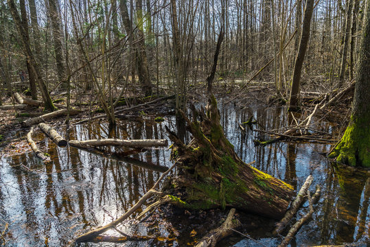 Worest Images – Browse 37 Stock Photos, Vectors, and Video | Adobe Stock