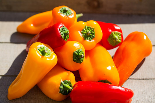 "Paprika Mix" - Images et vidéos libres de droits | Adobe Stock