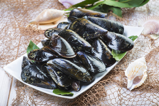 รูปภาพBivalvos – เลือกดูภาพถ่ายสต็อก เวกเตอร์ และวิดีโอ167 | Adobe Stock