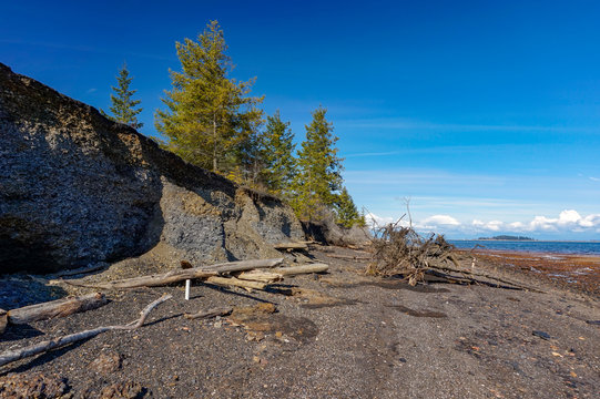Union Bay"」の写真素材 | 74件の無料イラスト画像 | Adobe Stock