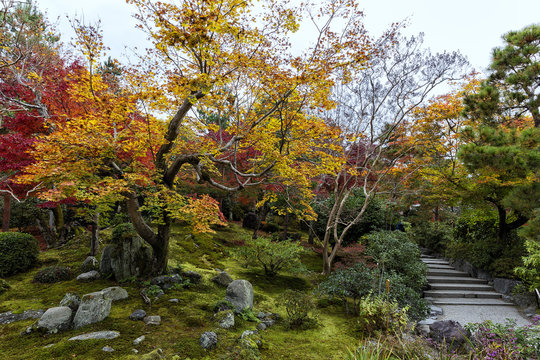 รูปภาพGardent – เลือกดูภาพถ่ายสต็อก เวกเตอร์ และวิดีโอ509 | Adobe Stock