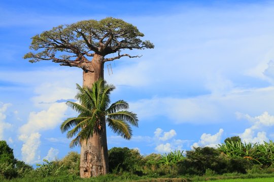 รูปภาพKuka – เลือกดูภาพถ่ายสต็อก เวกเตอร์ และวิดีโอ208 | Adobe Stock