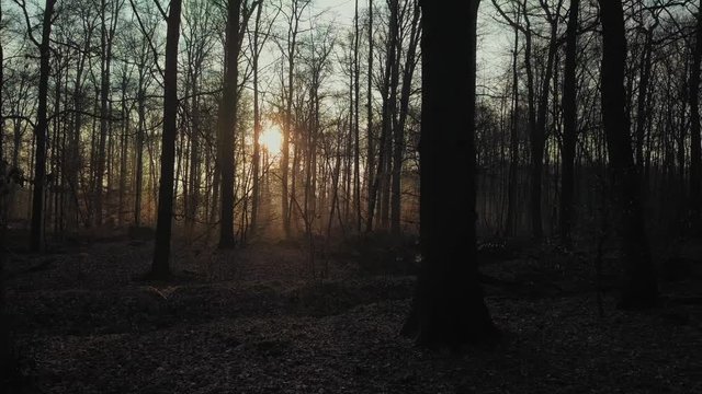 Desaturated bilder – Bläddra bland 24,438 stockfoton, vektorer och ...
