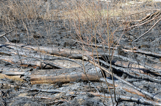 รูปภาพPyromanie – เลือกดูภาพถ่ายสต็อก เวกเตอร์ และวิดีโอ121 | Adobe Stock