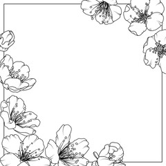 Cherry Blossom Corner Border photos, royalty-free images, graphics ...