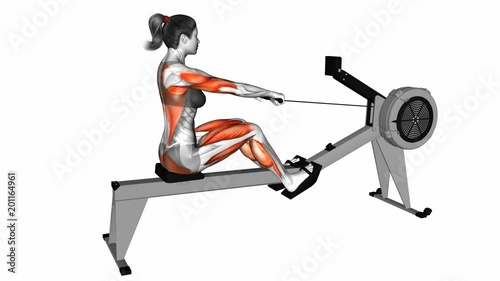 Rowing Exercise Without Machine – Online degrees