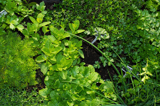 Nartur Images – Browse 43 Stock Photos, Vectors, and Video | Adobe Stock