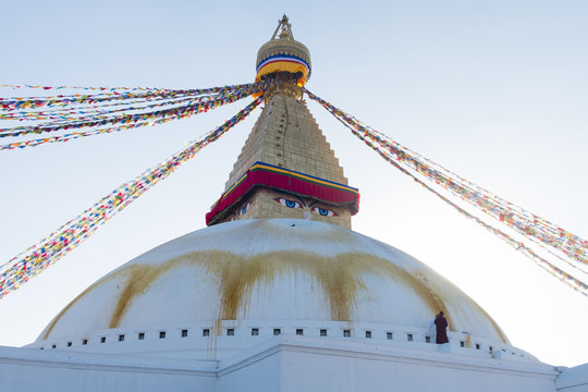 Harmika bilder – Bläddra bland 23 stockfoton, vektorer och videor ...