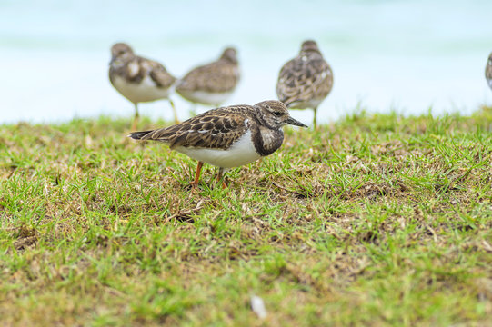 74 BEST Snap-Shot IMAGES, STOCK PHOTOS & VECTORS | Adobe Stock