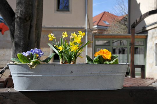 รูปภาพBlechtopf – เลือกดูภาพถ่ายสต็อก เวกเตอร์ และวิดีโอ67 | Adobe Stock