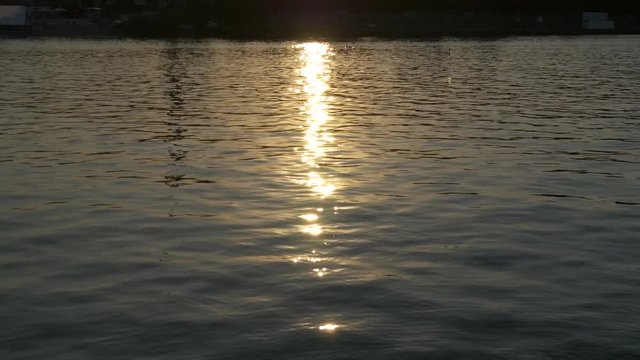 "Sun Glitter" Images – Browse 691 Stock Photos, Vectors, and Video ...