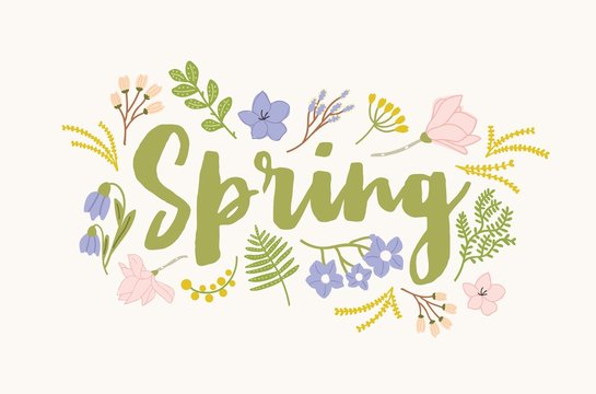 Free Spring Images – Browse 43,852 Free Stock Photos, Vectors, and ...